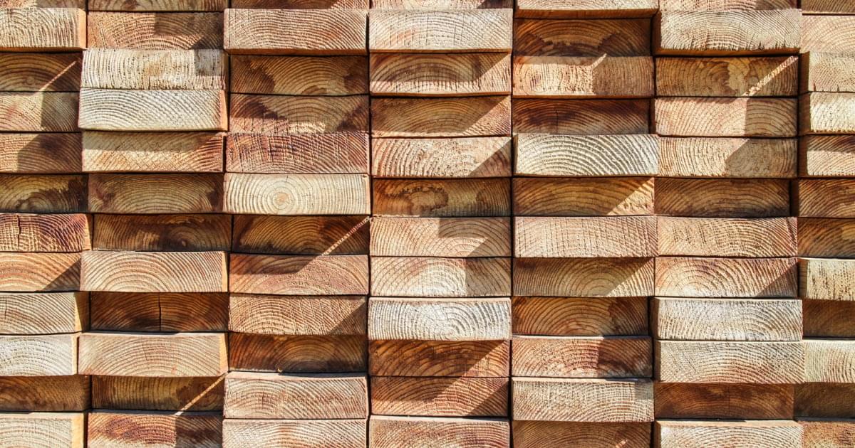 木の家が身体に良いのには、理由があった | SOTOMO | 家の内も外も、暮らしを充実させるアイデア満載の情報サイト